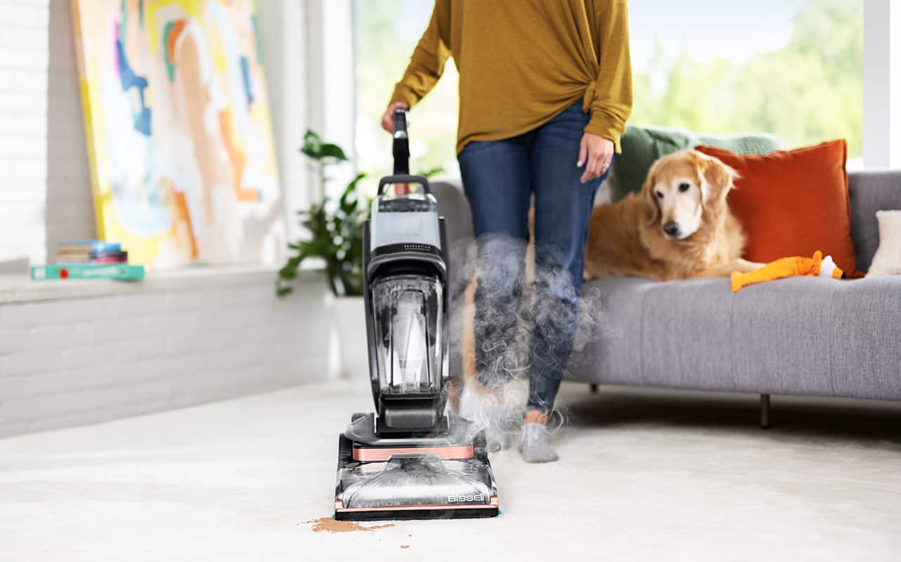 Purple and Multi Surface Vacuum & Floor Care Deals - Best Buy