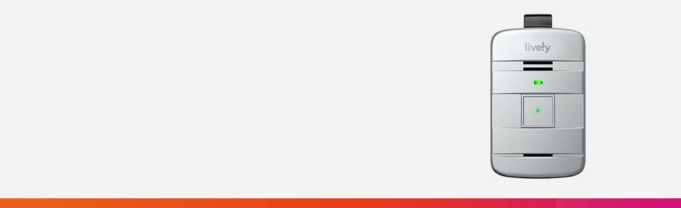 Lively Health and Safety Services - Best Buy