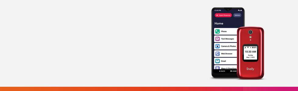 Lively Health and Safety Services - Best Buy