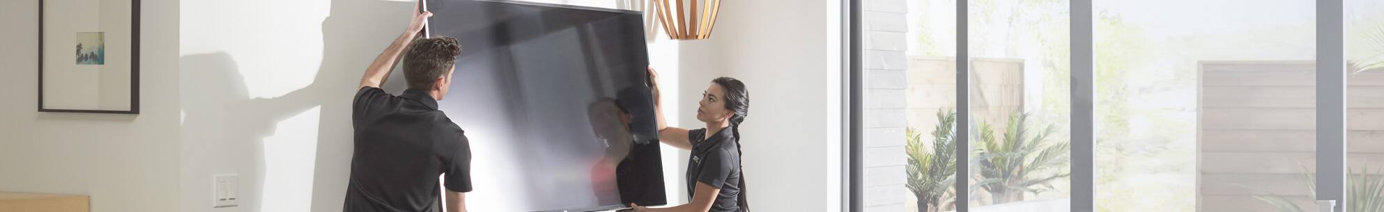 Best Buy Protection - TV and Home Theater