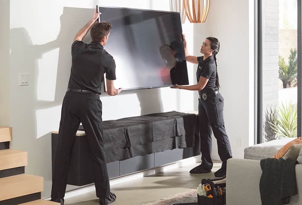 TV & Home Theater Services: Geek Squad - Best Buy