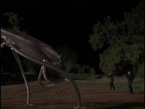 Best Buy: Shockwave [DVD] [2005]