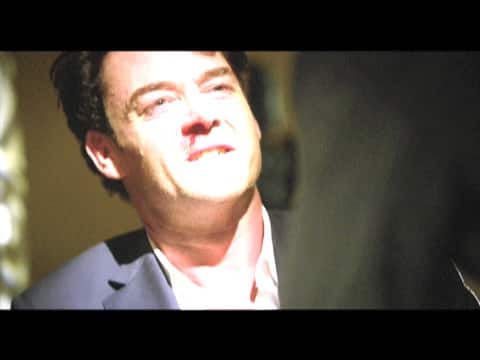 Best Buy: Falcon [DVD]