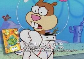 SpongeBob SquarePants: Absorbing Favorites [DVD] - Best Buy
