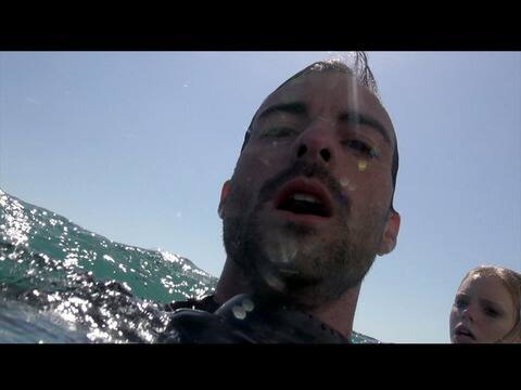 Open Water 3: Cage Dive [Blu-ray] [2017] - Best Buy