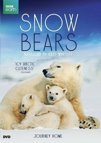Snow Bears DVD - Best Buy