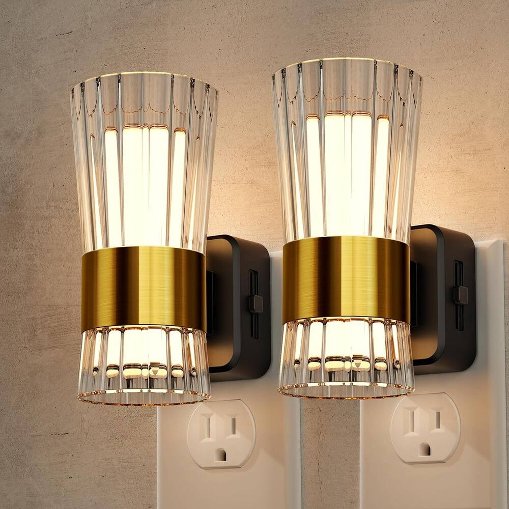 ACJPR 2 Pack LED Night Lights – Soft White, Adjustable Brightness, Dusk ...