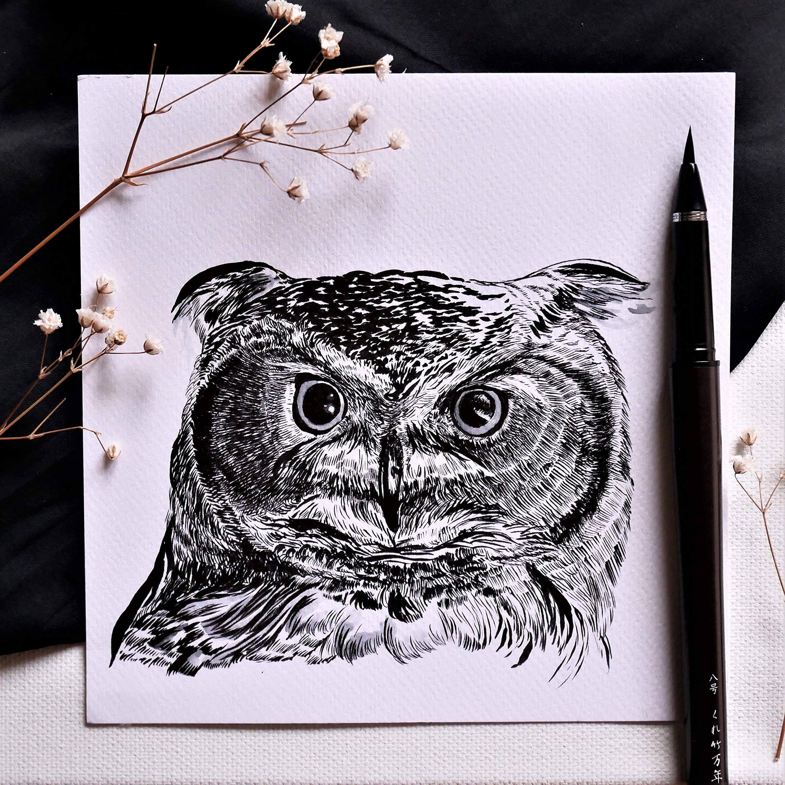 Paradigms Interiors Fountain Brush Pen Takujo (no.8) Ink For ...