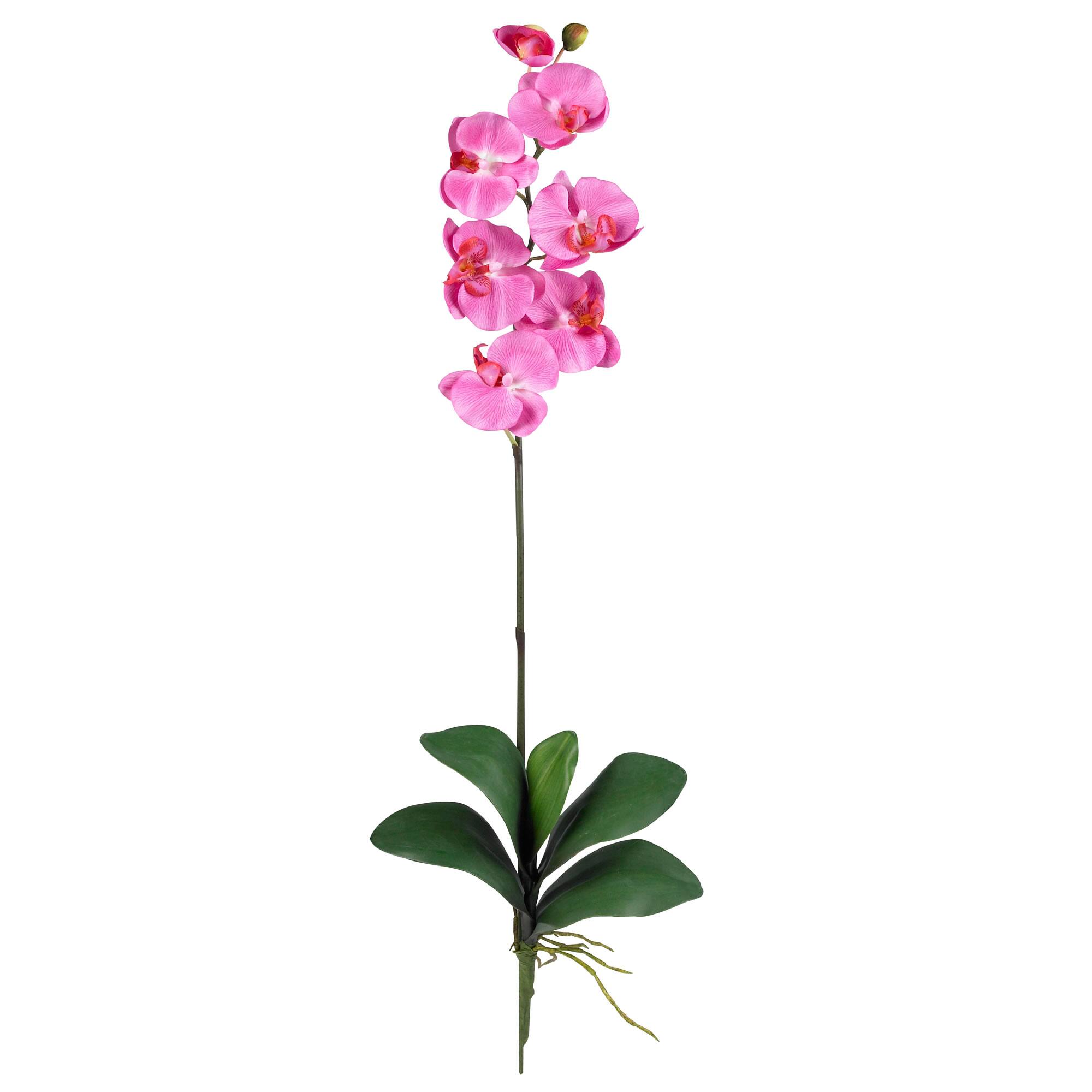 BreeBe Phalaenopsis Stem (Set of 6) Dark Pink 2044-DP - Best Buy