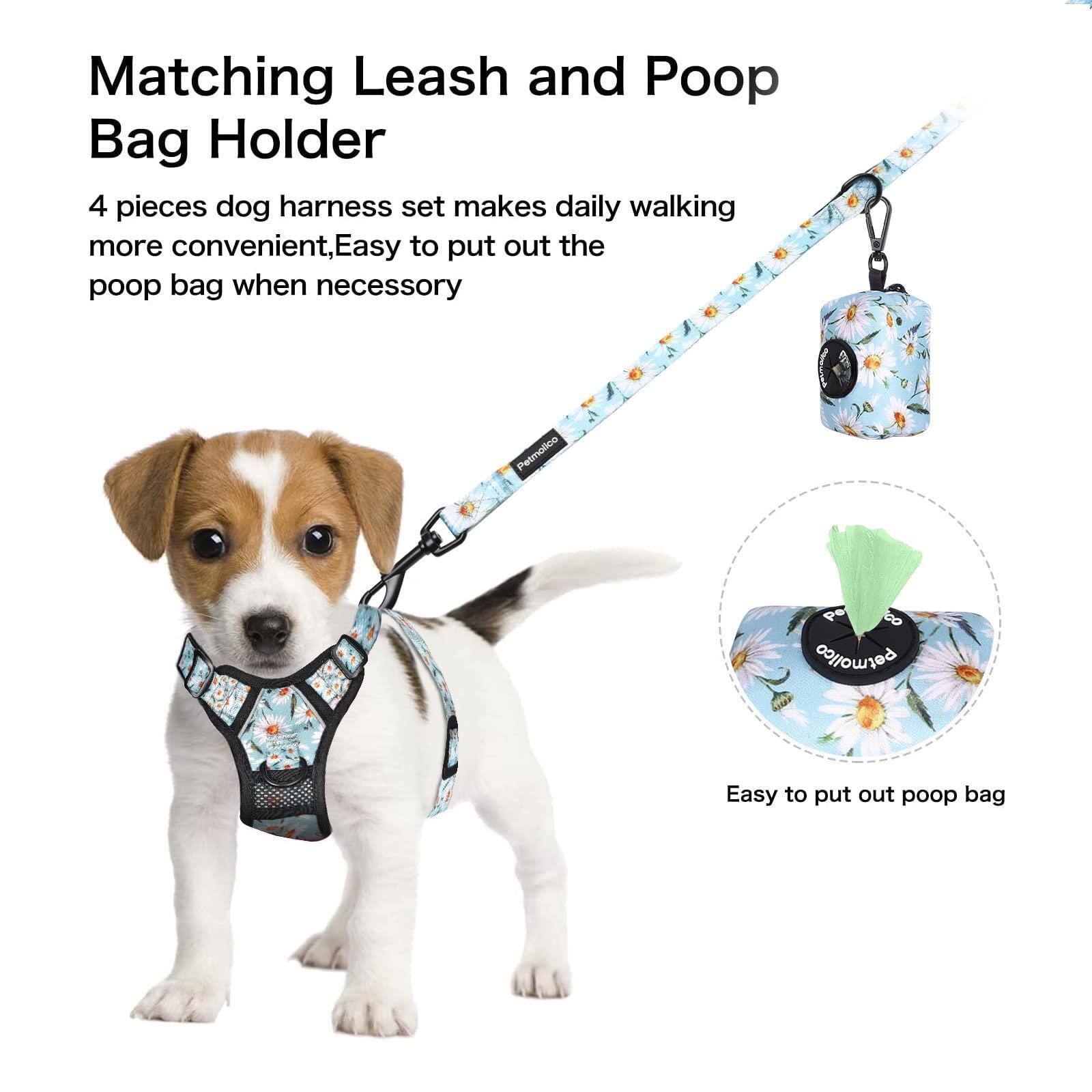 Paradigms Interiors No Pull Dog Harness Set With Leash Attachment Easy ...
