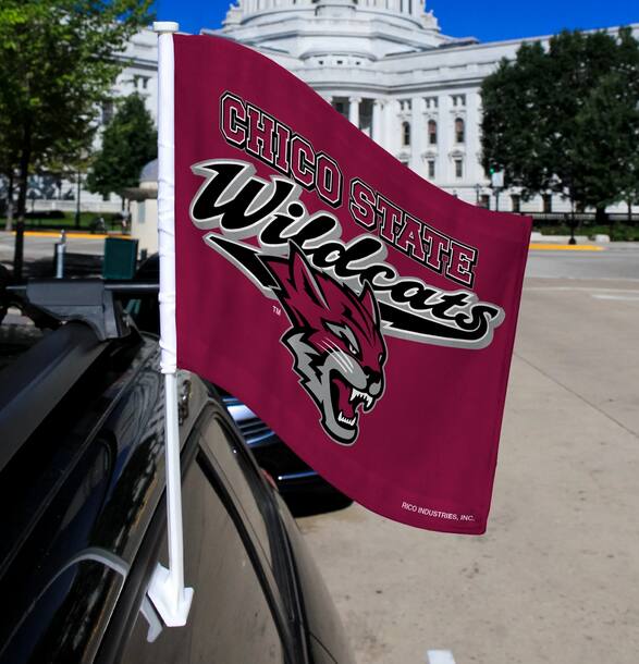 Rico Industries Cal State Chico Wildcats 11x14 Window Mount 2 Sided Car ...