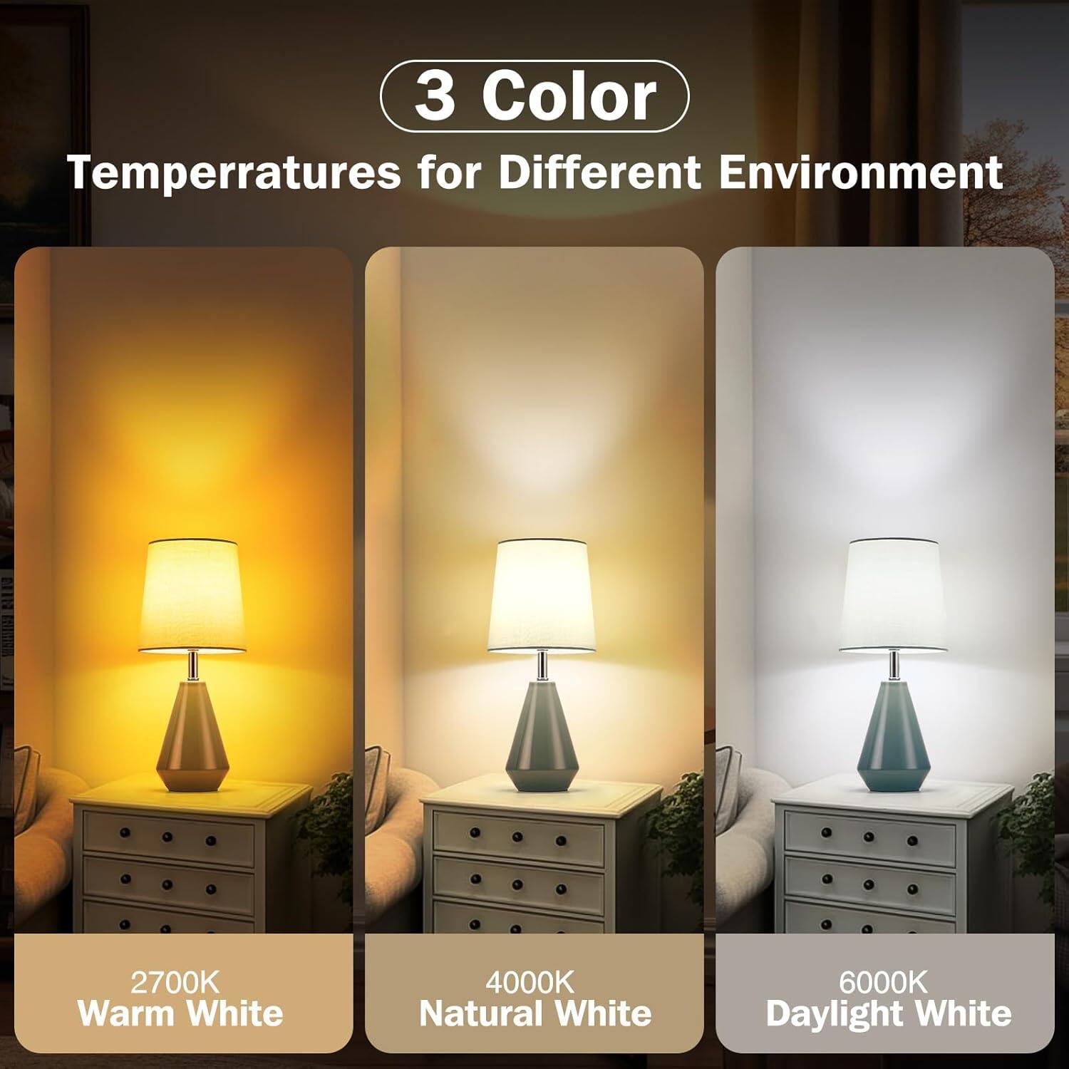 Stamp n Camp Bedside Table Lamp for Bedroom Reading Desk Lamp with 3 ...