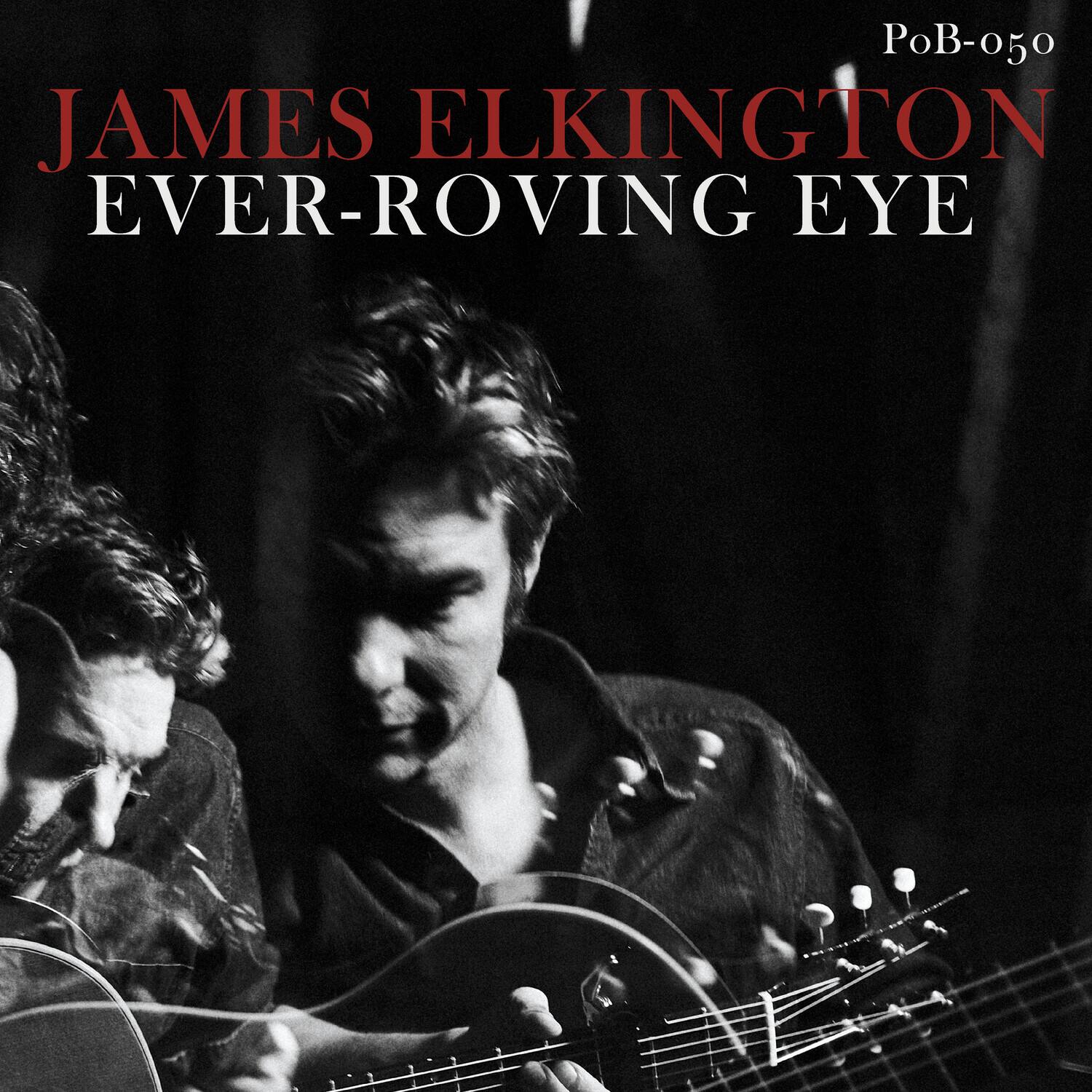 James Elkington Ever Roving Eye VINYL LP - Best Buy