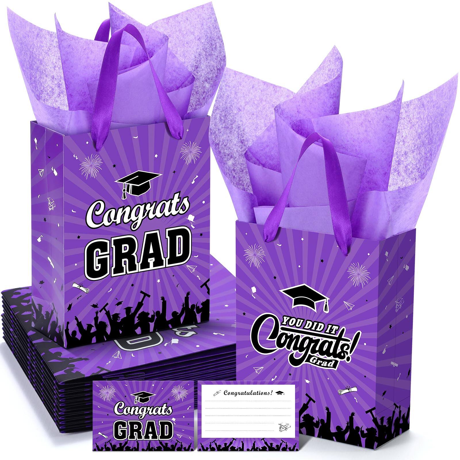 Paradigms Interiors Graduation Gift Bags 12 pack With Tissue Paper ...