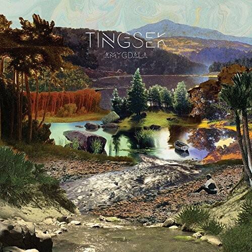 Tingsek Amygdala COMPACT DISCS [CD] - Best Buy