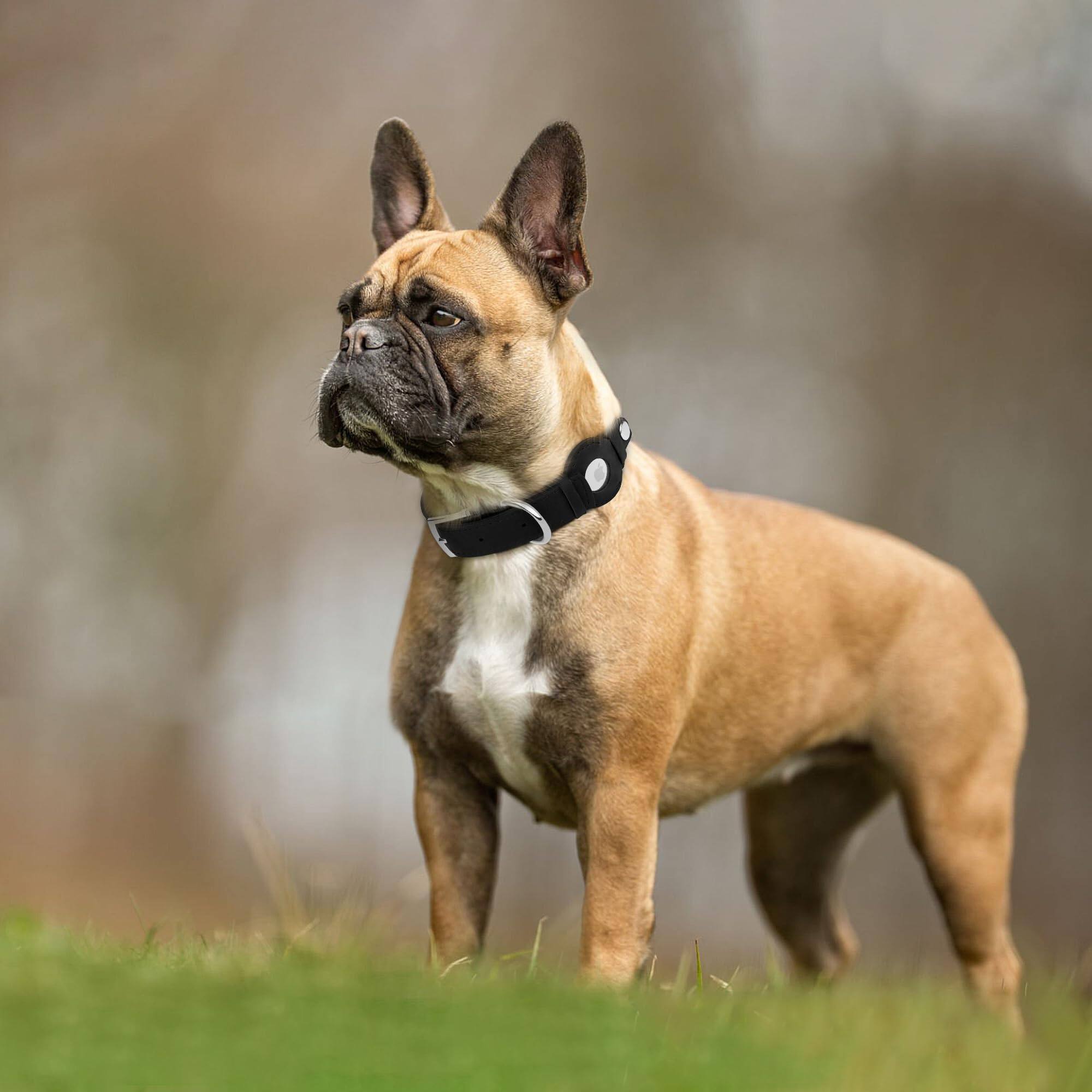 Leash Valley Refurbished Excellent Leather Dog Collar With Airtag ...