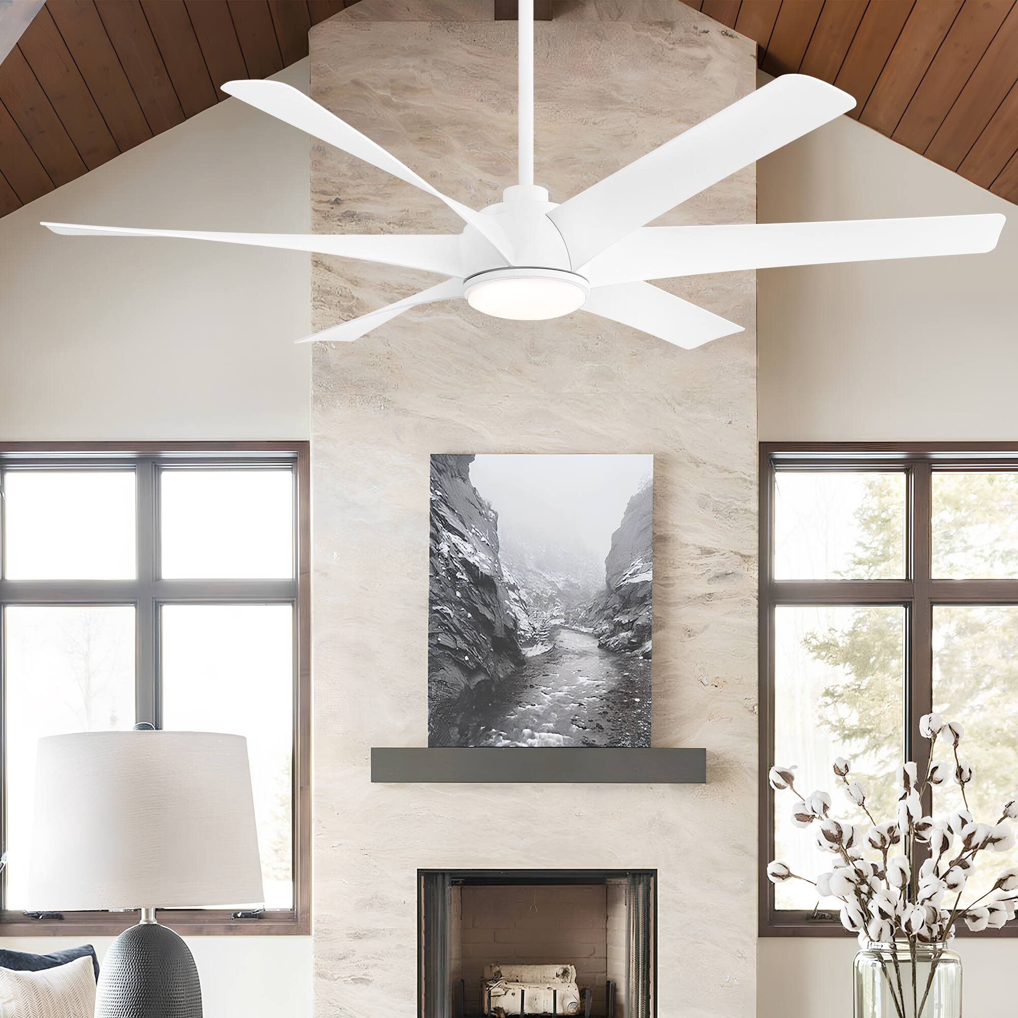 Breezary 65" Large Indoor Ceiling Fan with Remote Control, 6 ABS Blades, 6 Speed DC Motor, 7"/12 ...