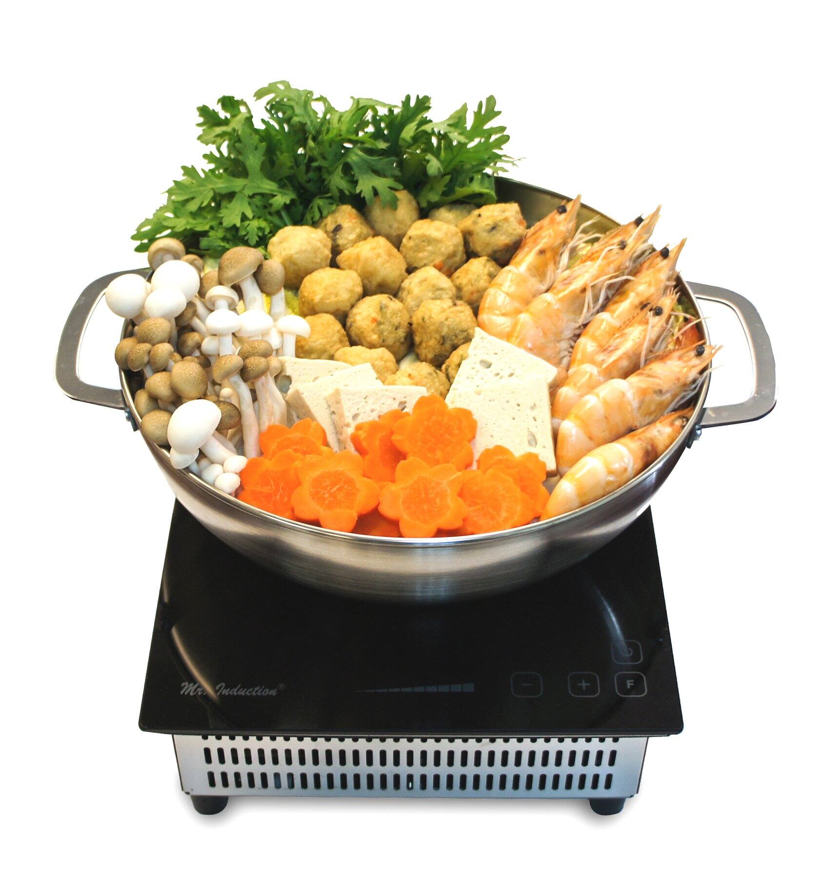 SPT 1400W Mini Induction Cooktop with Smart Fry (Built In/Countertop ...