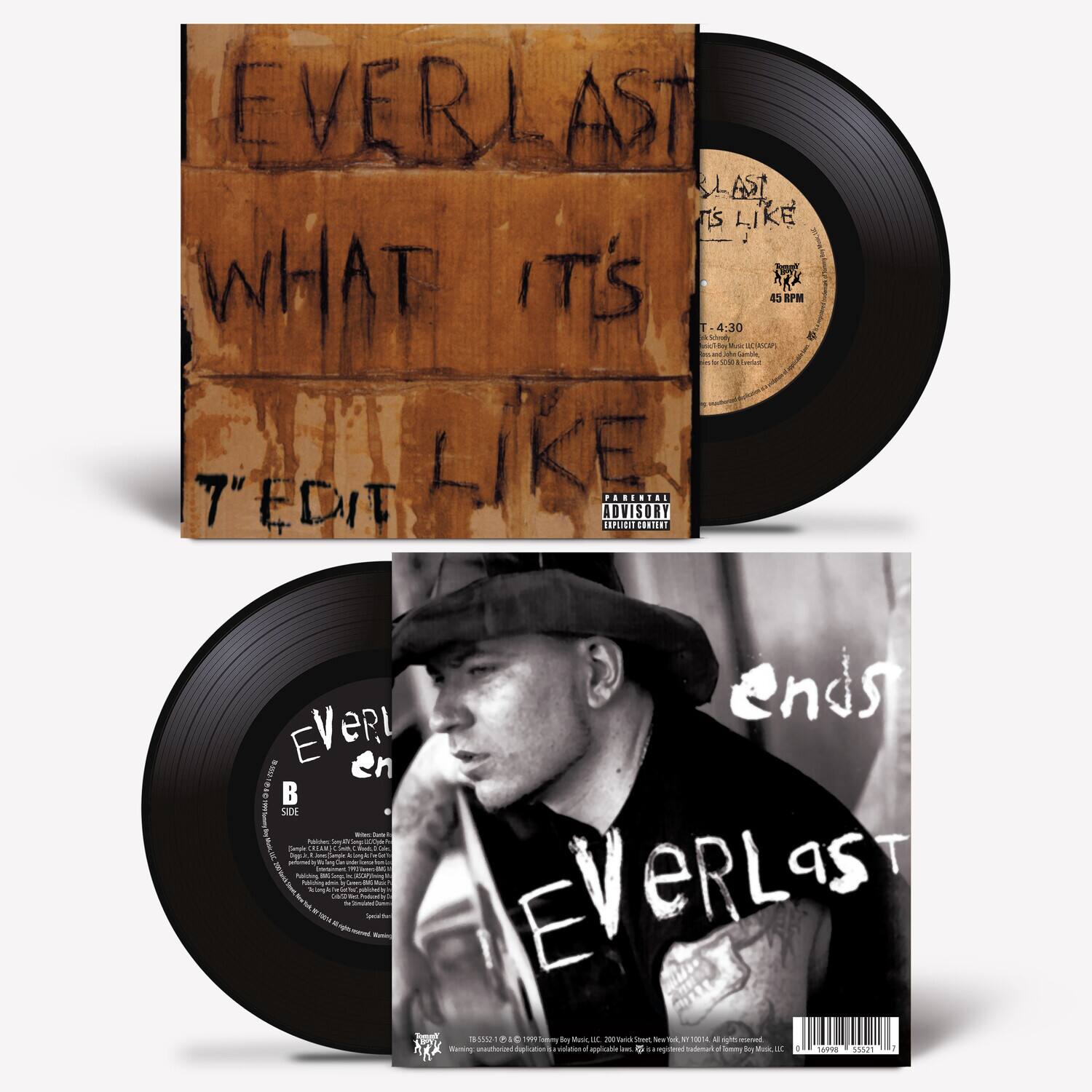 Everlast What It's Like/Ends 7 INCH SINGLE [7 inch Vinyl Disc] - Best Buy