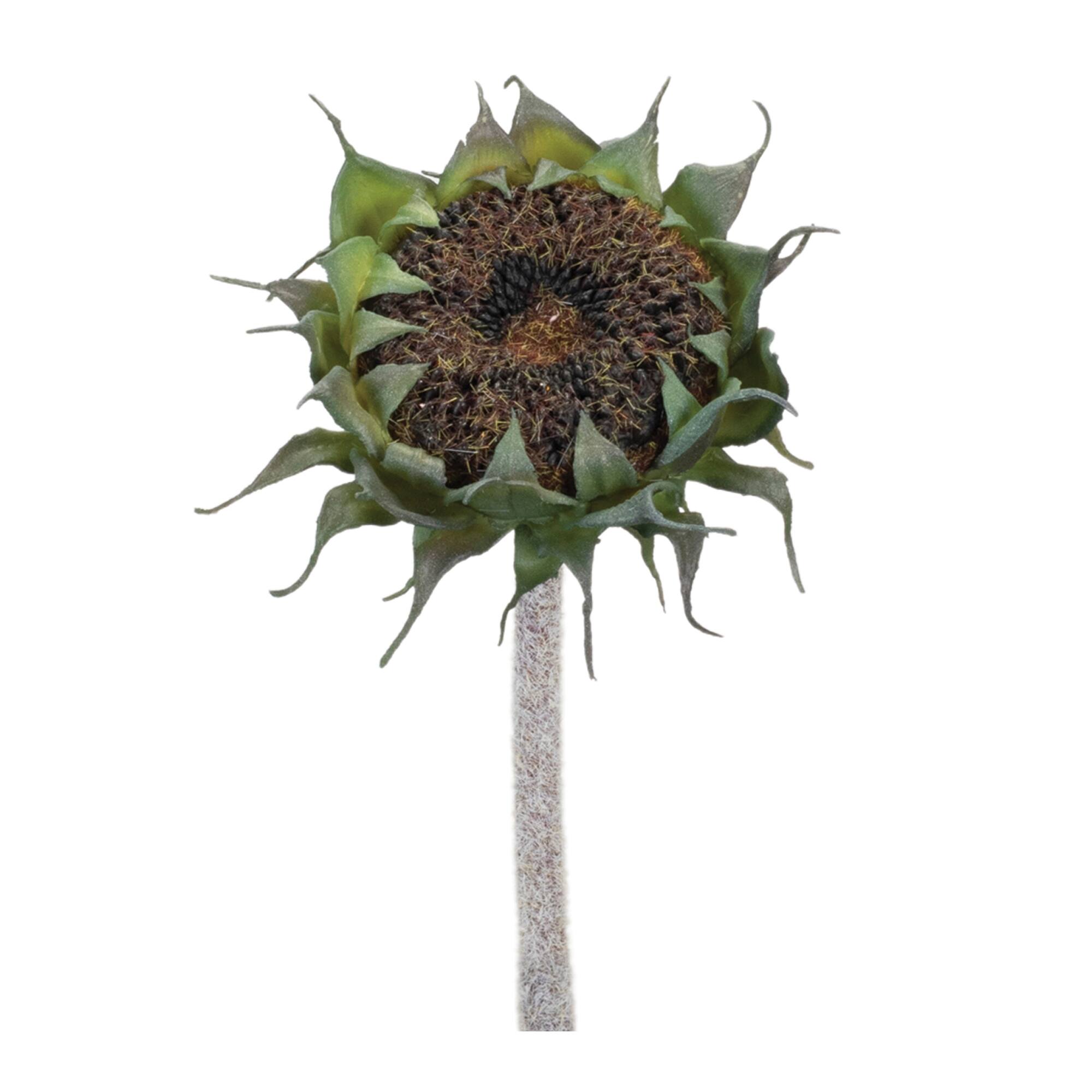 BreeBe Brown Sunflower Stem (Set of 6) Black, Green 92297DS - Best Buy