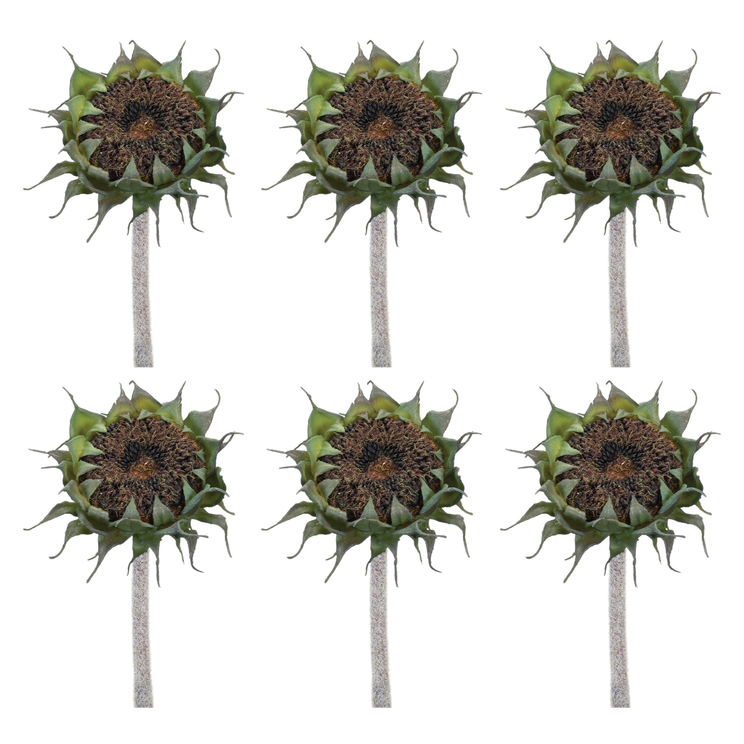 BreeBe Brown Sunflower Stem (Set of 6) Black, Green 92297DS - Best Buy