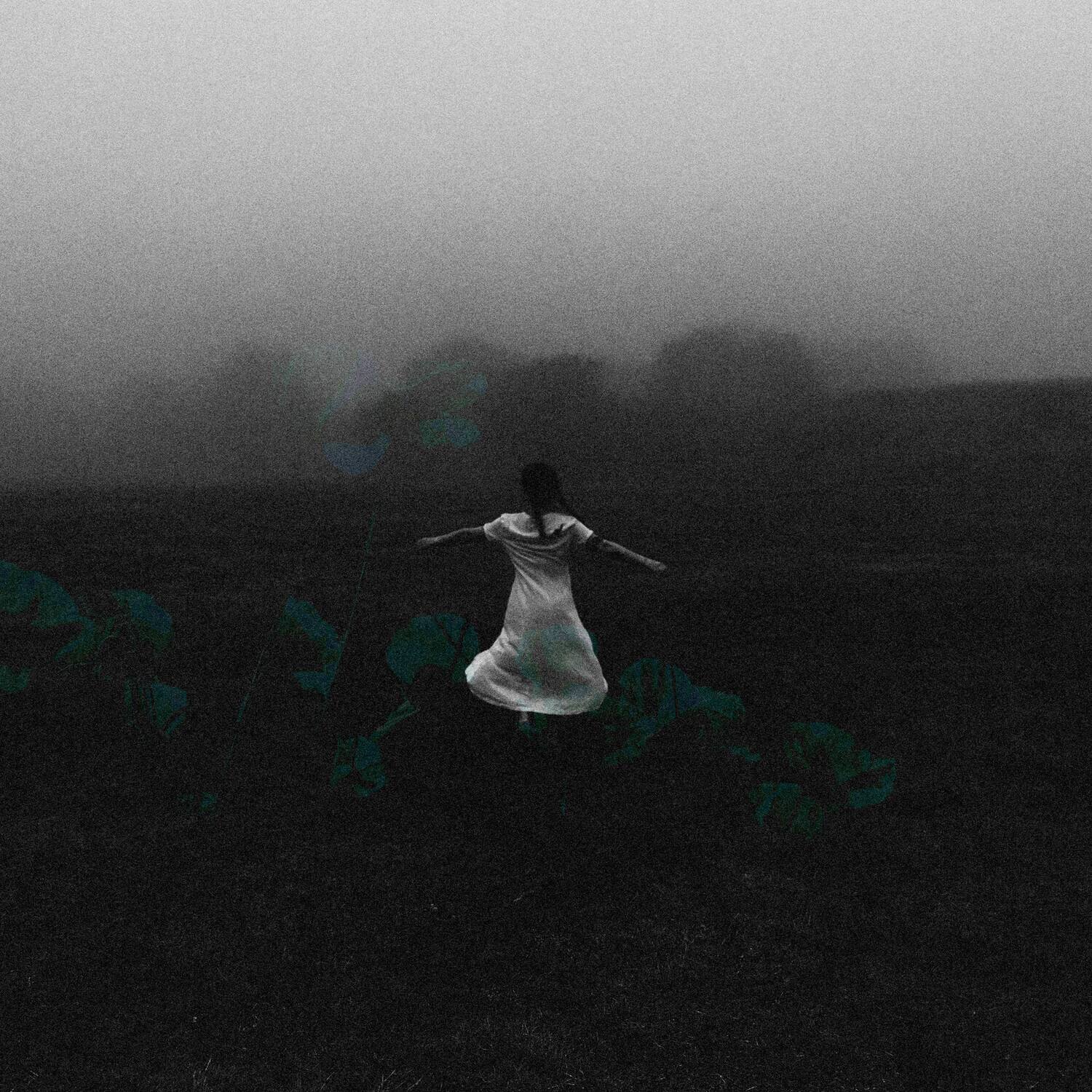 Deerlady Deerlady VINYL LP - Best Buy