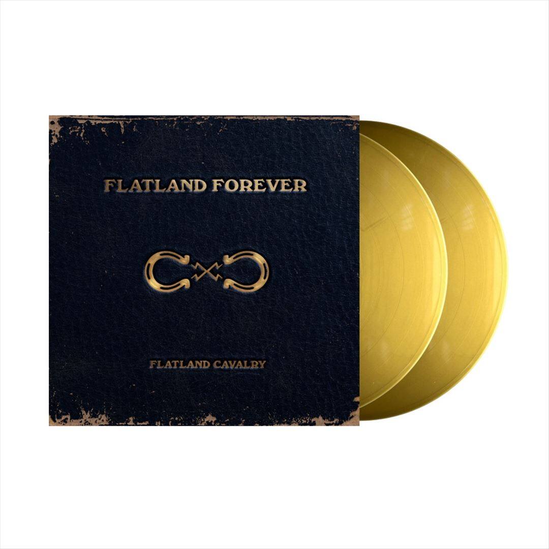 Flatland Forever [Gold 2 LP] [LP] VINYL - Best Buy