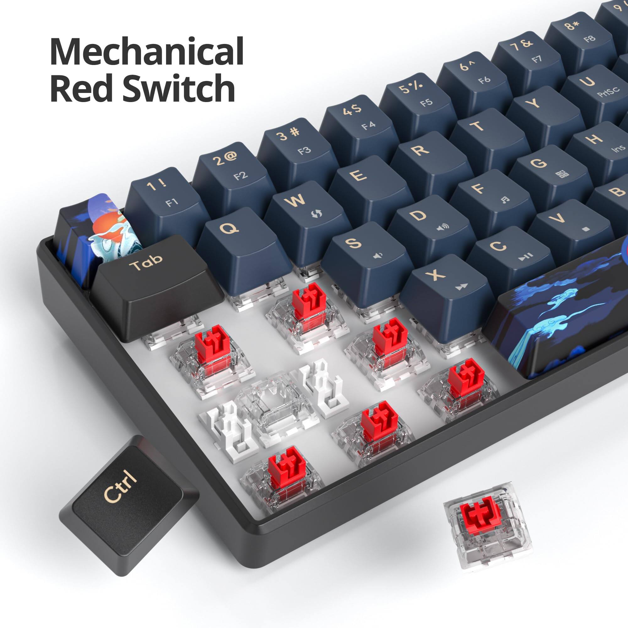 Pacoar Cade 60 Percent Gaming 60 Mechanical Led Backlit Ultra Compact ...