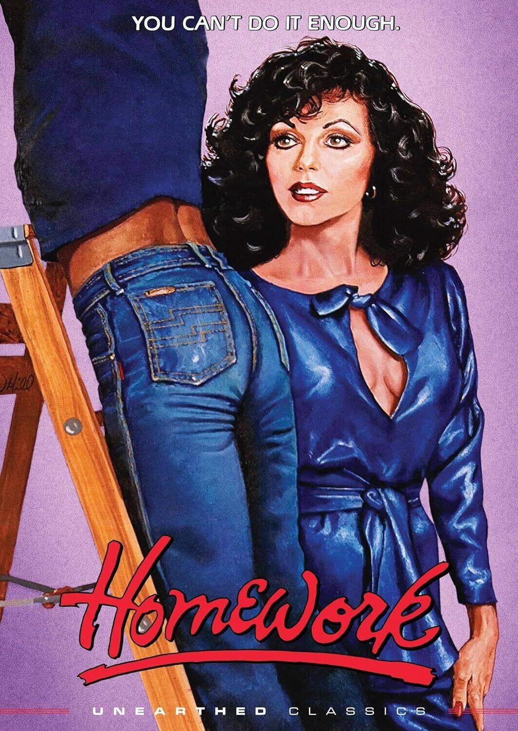 Homework DVD - Best Buy