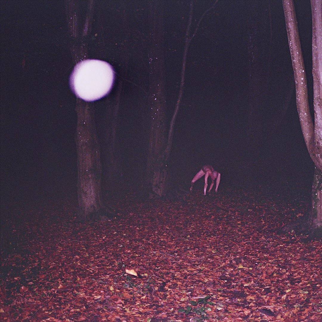 Best Buy: Skinwalker [LP] VINYL