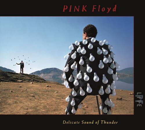 Pink Floyd Delicate Sound Of Thunder (Live) COMPACT DISCS [CD] - Best Buy