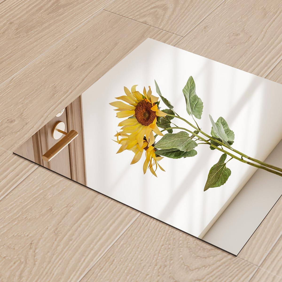 Comfort Essence Full Length Wall Mirrors 11'' X Home Gym Body Mirror ...