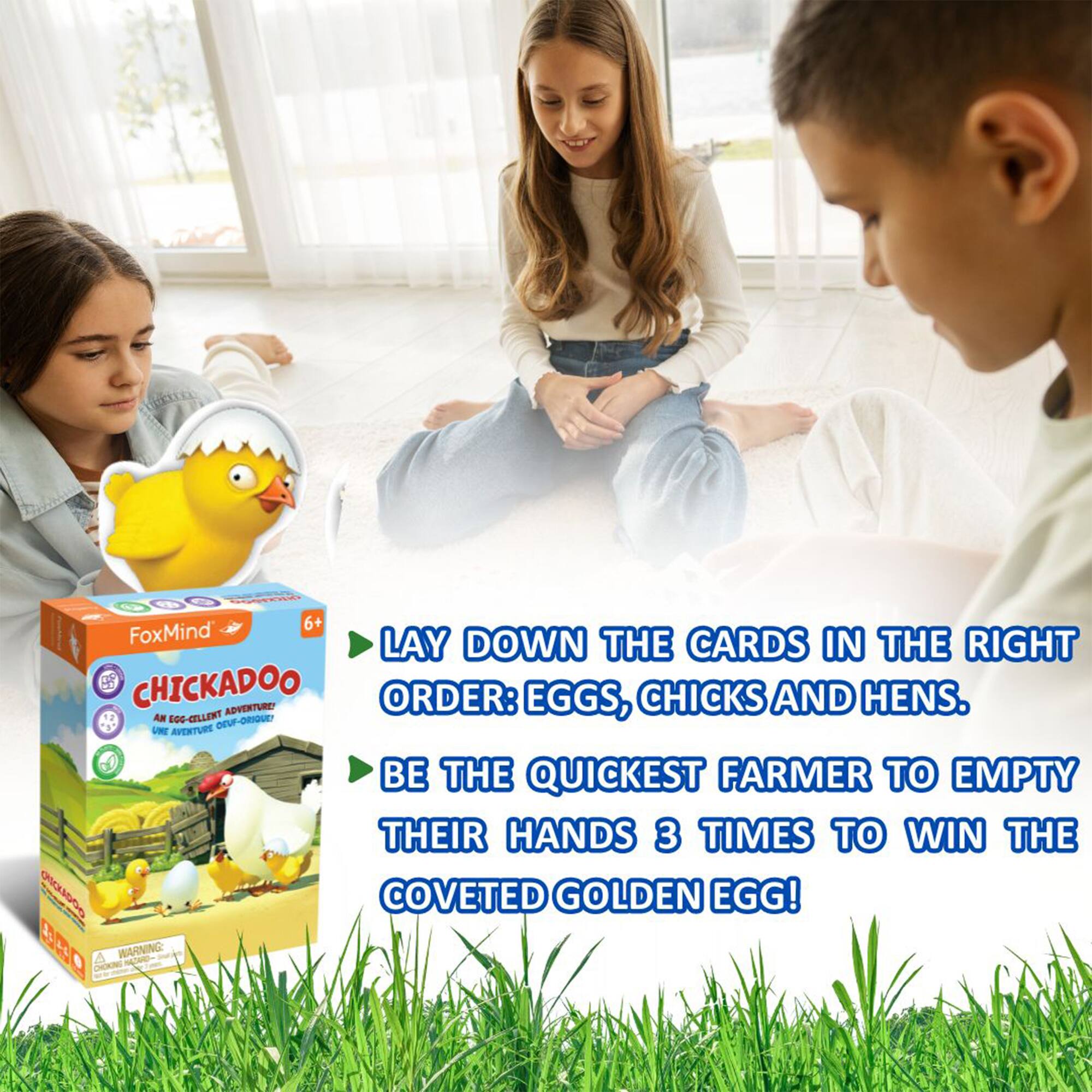 FoxMind Games Chickadoo Card Game G0842710002147 - Best Buy