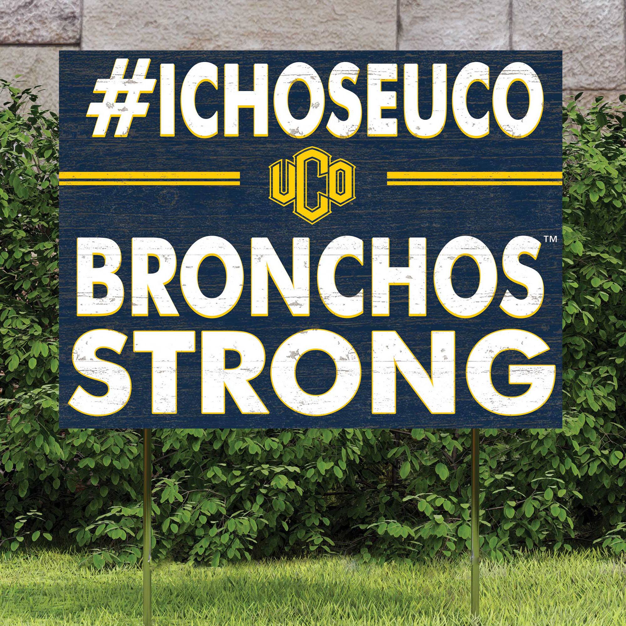 Jardine Central Oklahoma Bronchos 18'' x 24'' I Chose Lawn Sign Navy ...