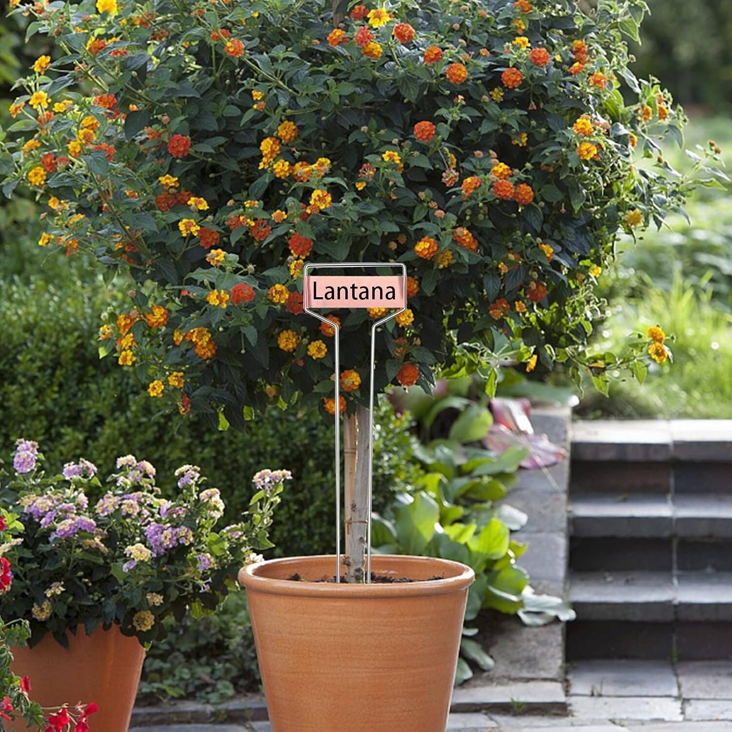 Auledio 15pcs Garden Flowerpot Plant Signs Plant Labels Garden Marker ...