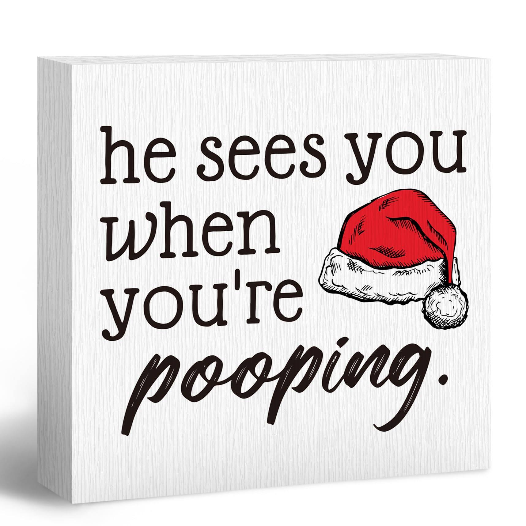 Paradigms Interiors Christmas Bathroom Decorations Funny Decor He Sees ...