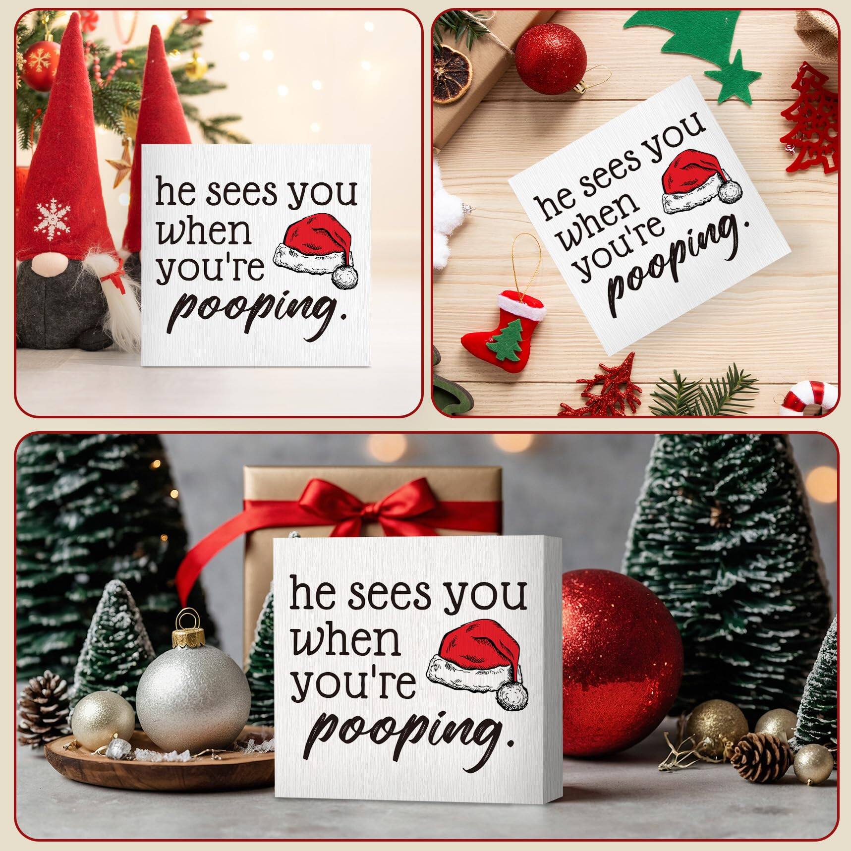 Paradigms Interiors Christmas Bathroom Decorations Funny Decor He Sees ...