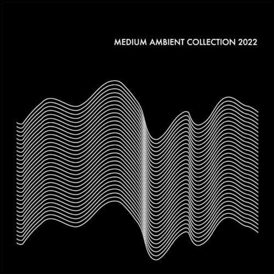 Best Buy: Medium Ambient Collection 2022 [LP] VINYL