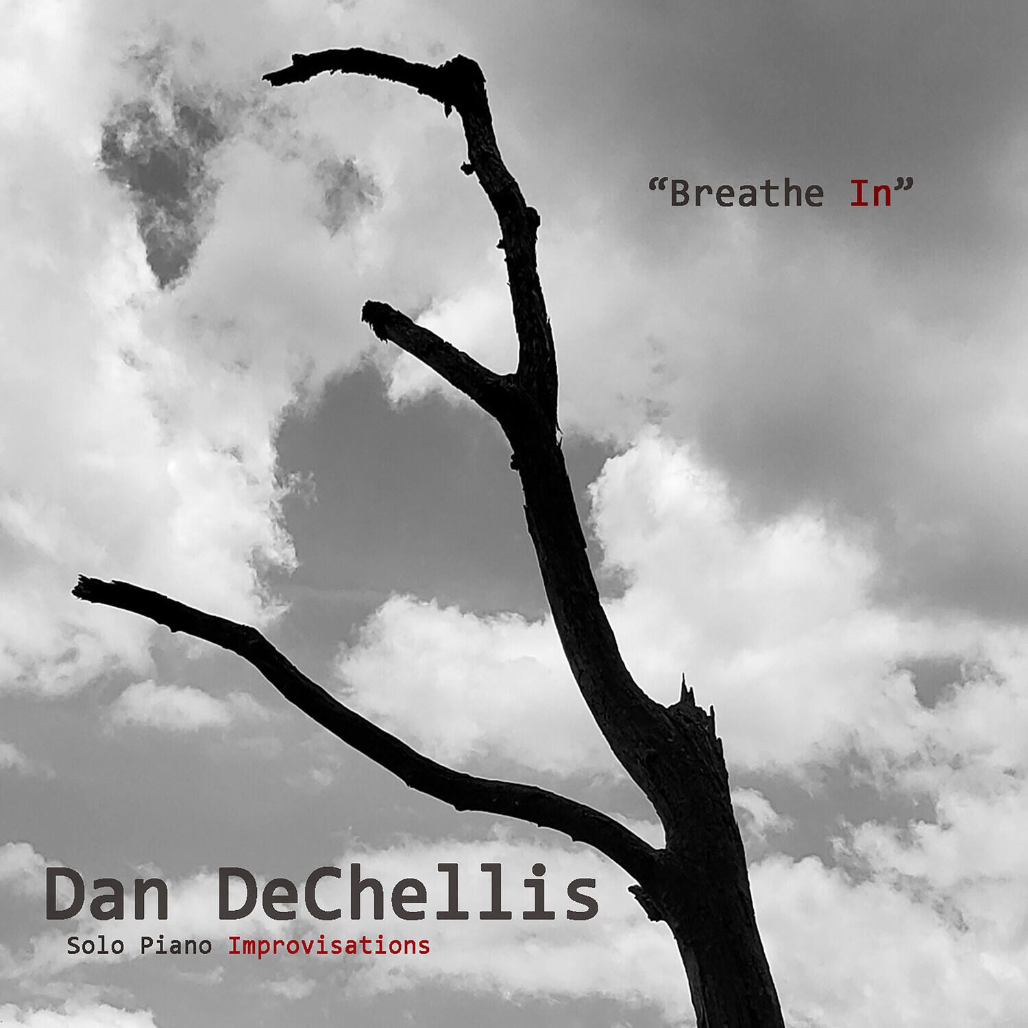 Dan de Chellis Breathe In COMPACT DISCS [CD] - Best Buy