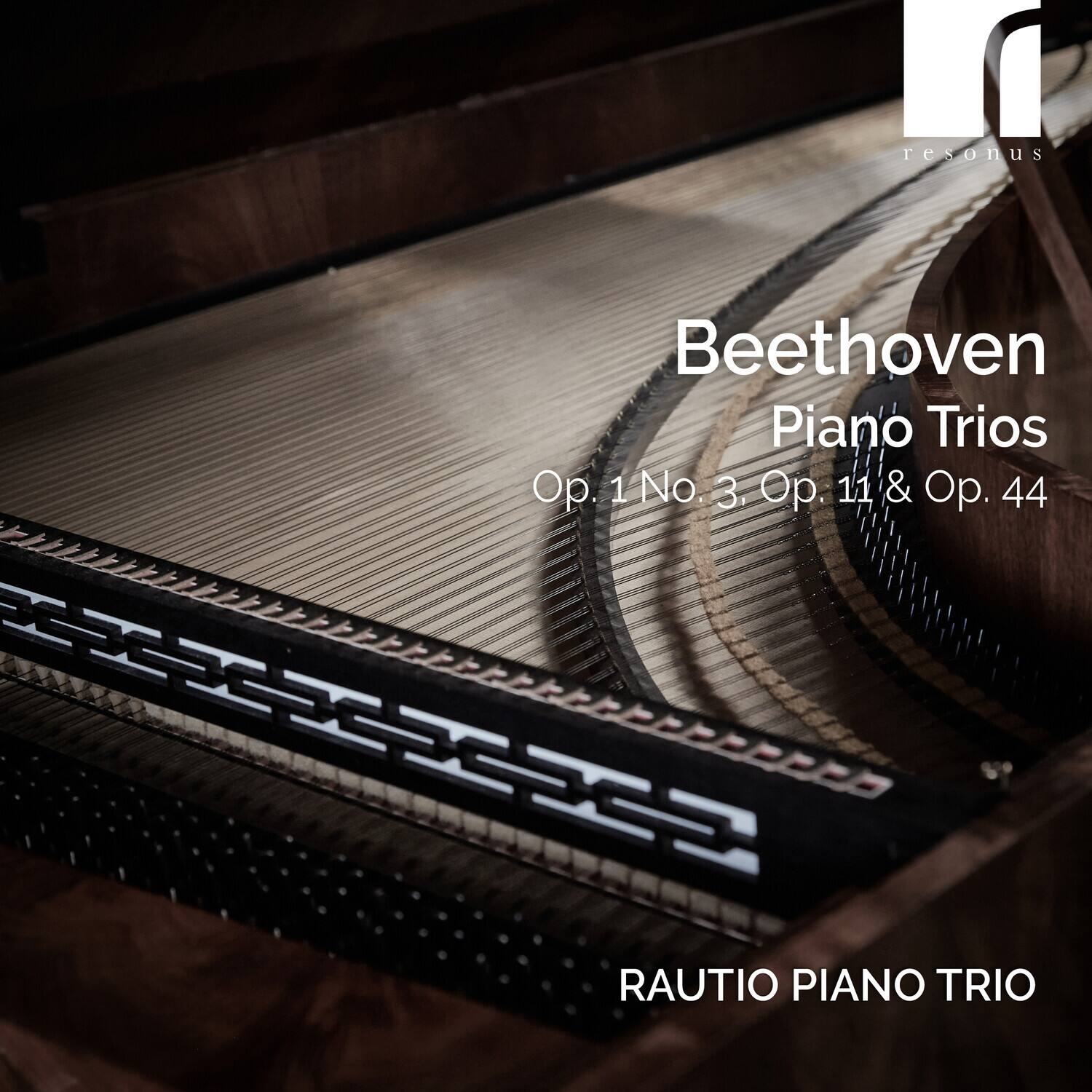 Rautio Piano Trio Beethoven: Piano Trios, Op. 1 No. 3, Op. 11 & Op. 44 ...