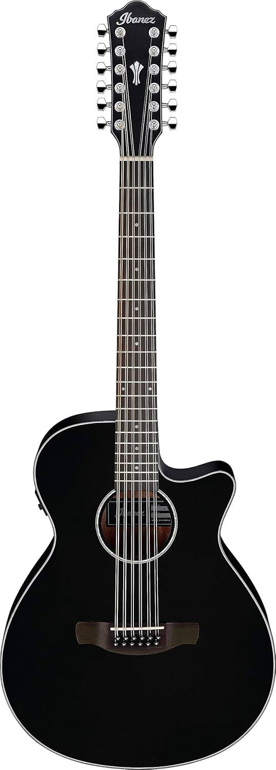Ibanez AEG Series Single Cutaway 12 String Acoustic Electric Guitar ...