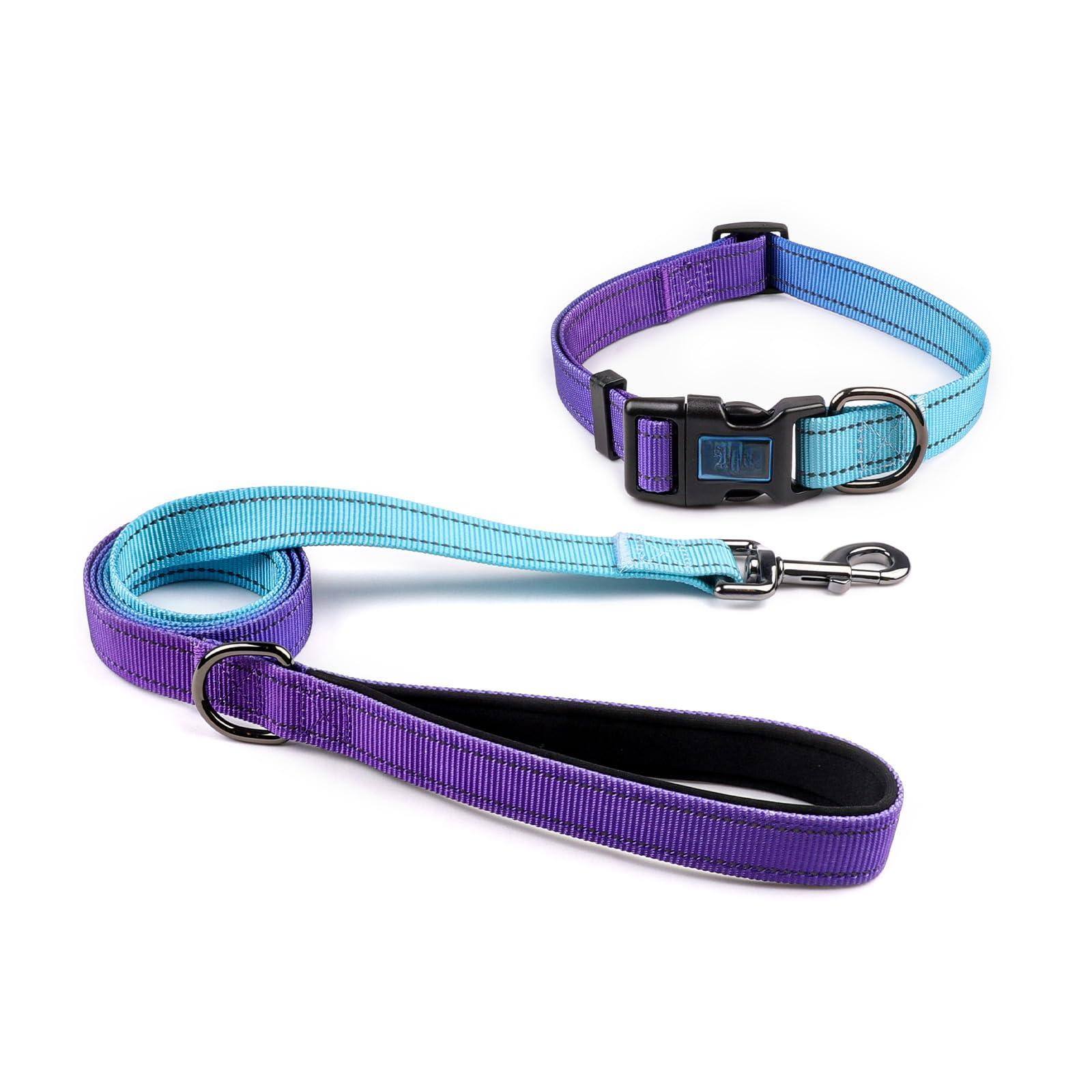Paradigms Interiors Puppy Dog Collar And Leash Set Reflective For Dogs ...