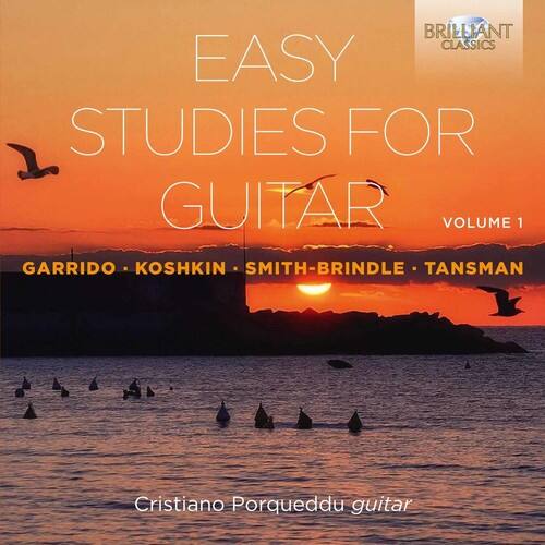 Garrido / Koshkin / Smith Brindle / Porqueddu Easy Studies For Guitar ...