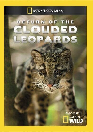 Return of the Clouded Leopards DVD - Best Buy
