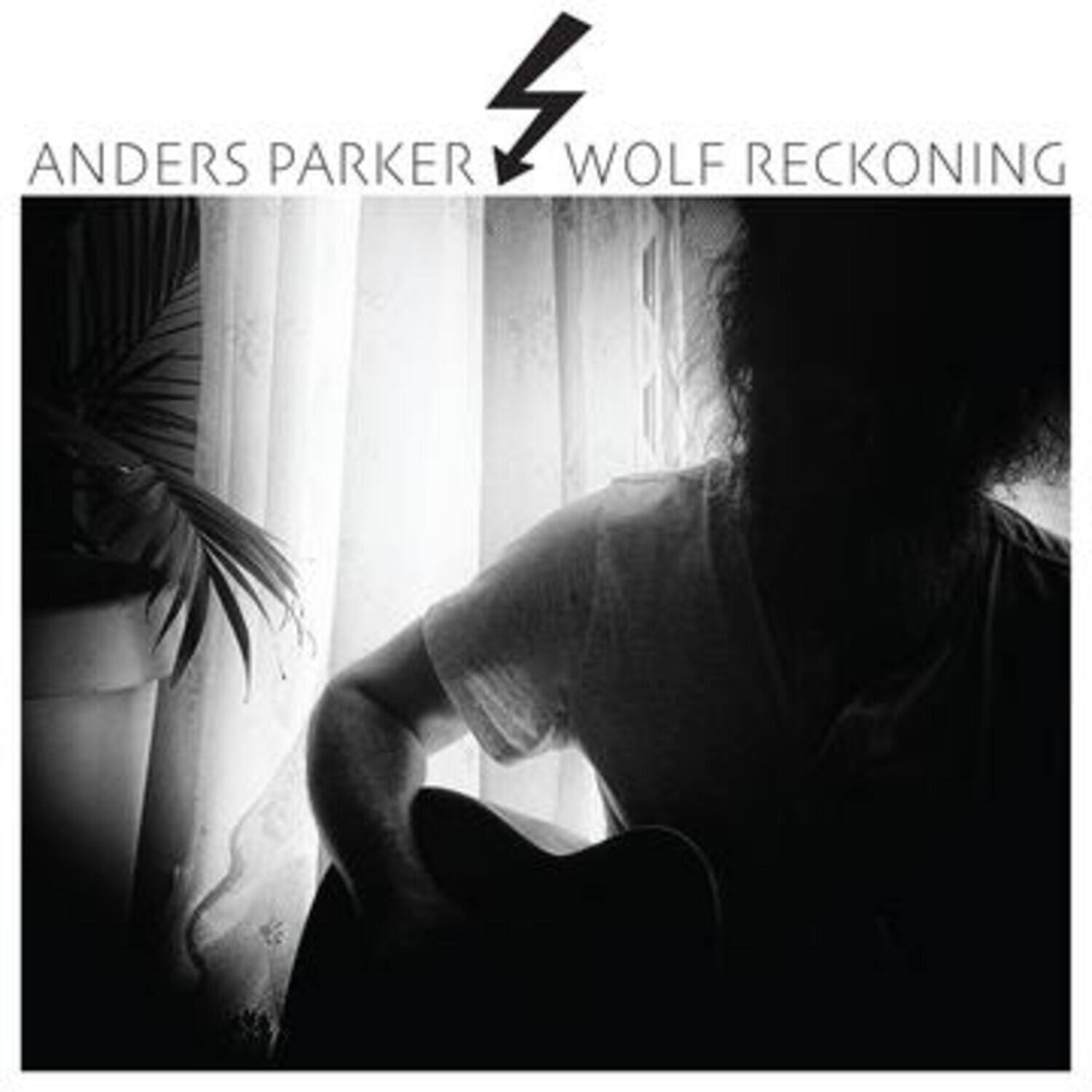 Anders Parker Wolf Reckoning VINYL LP - Best Buy