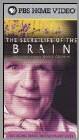 Best Buy: The Secret Life of the Brain, Part 5: The Aging Brain Through ...