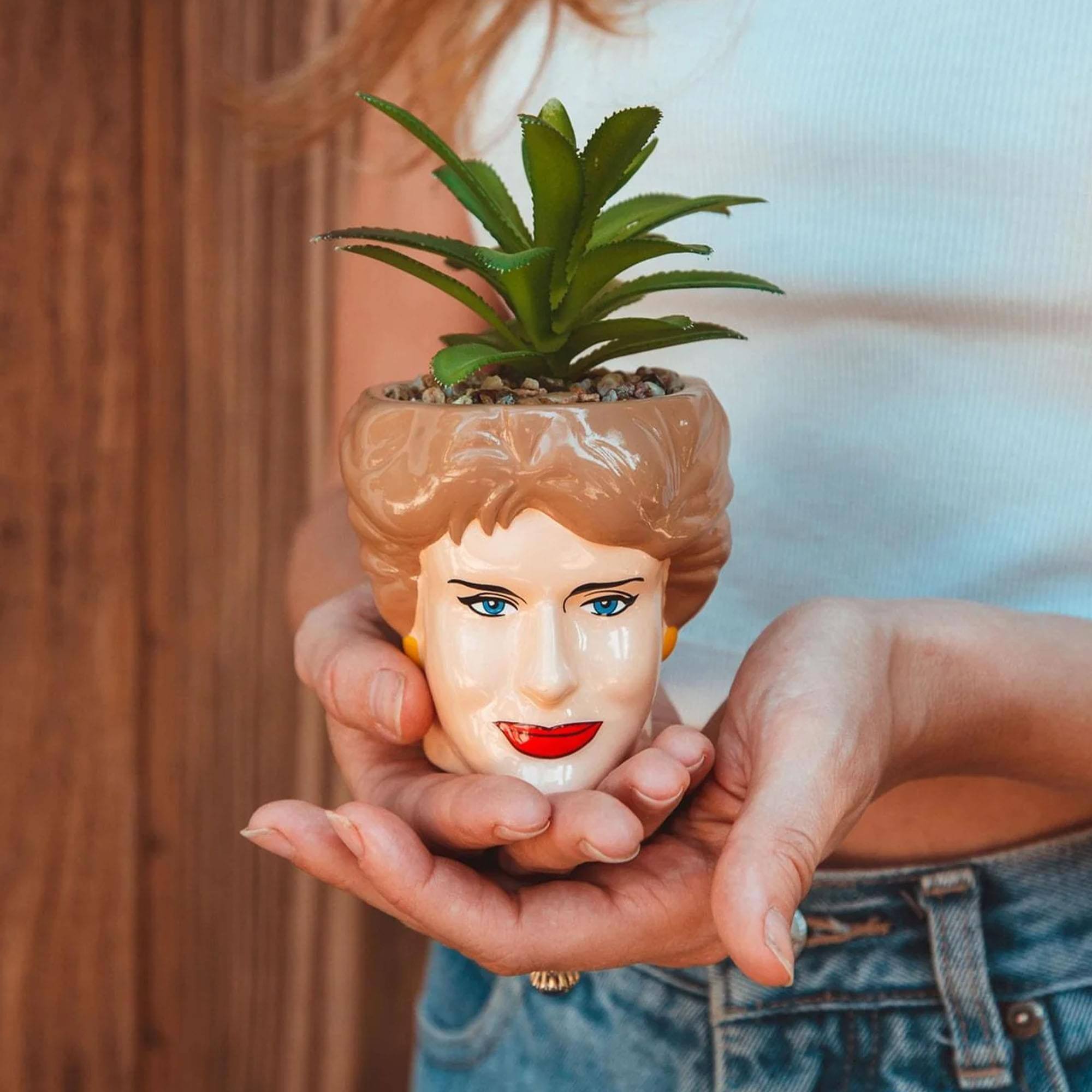 Silver Buffalo The Golden Girls Face Mini Ceramic Planter With Faux ...