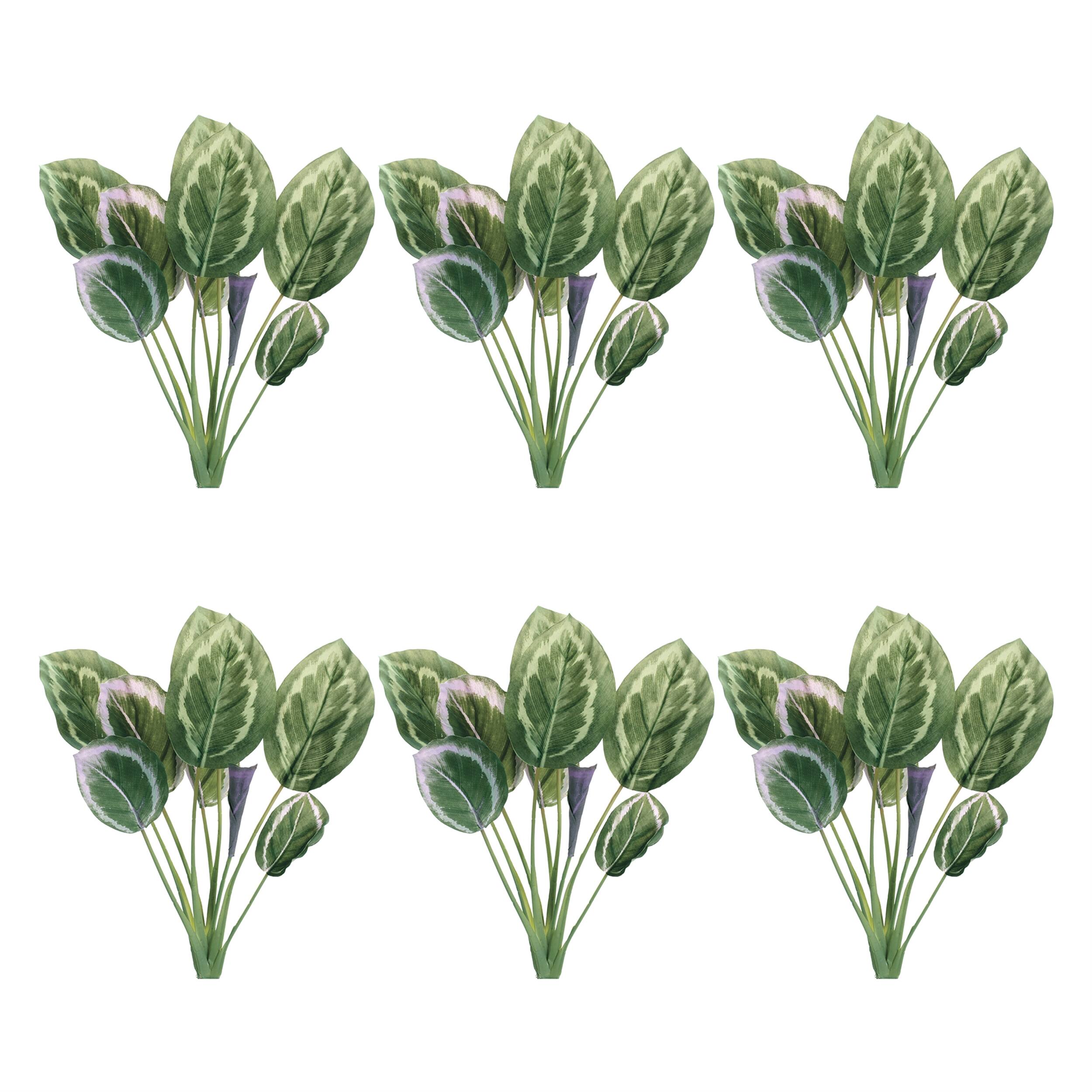 BreeBe Prayer Plant Foliage Bush (Set of 6) Green 85714DS - Best Buy