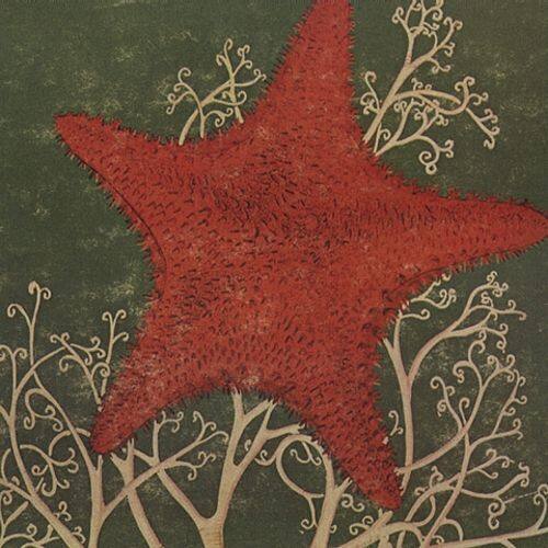 Best Buy: Arm of the Starfish [CD]