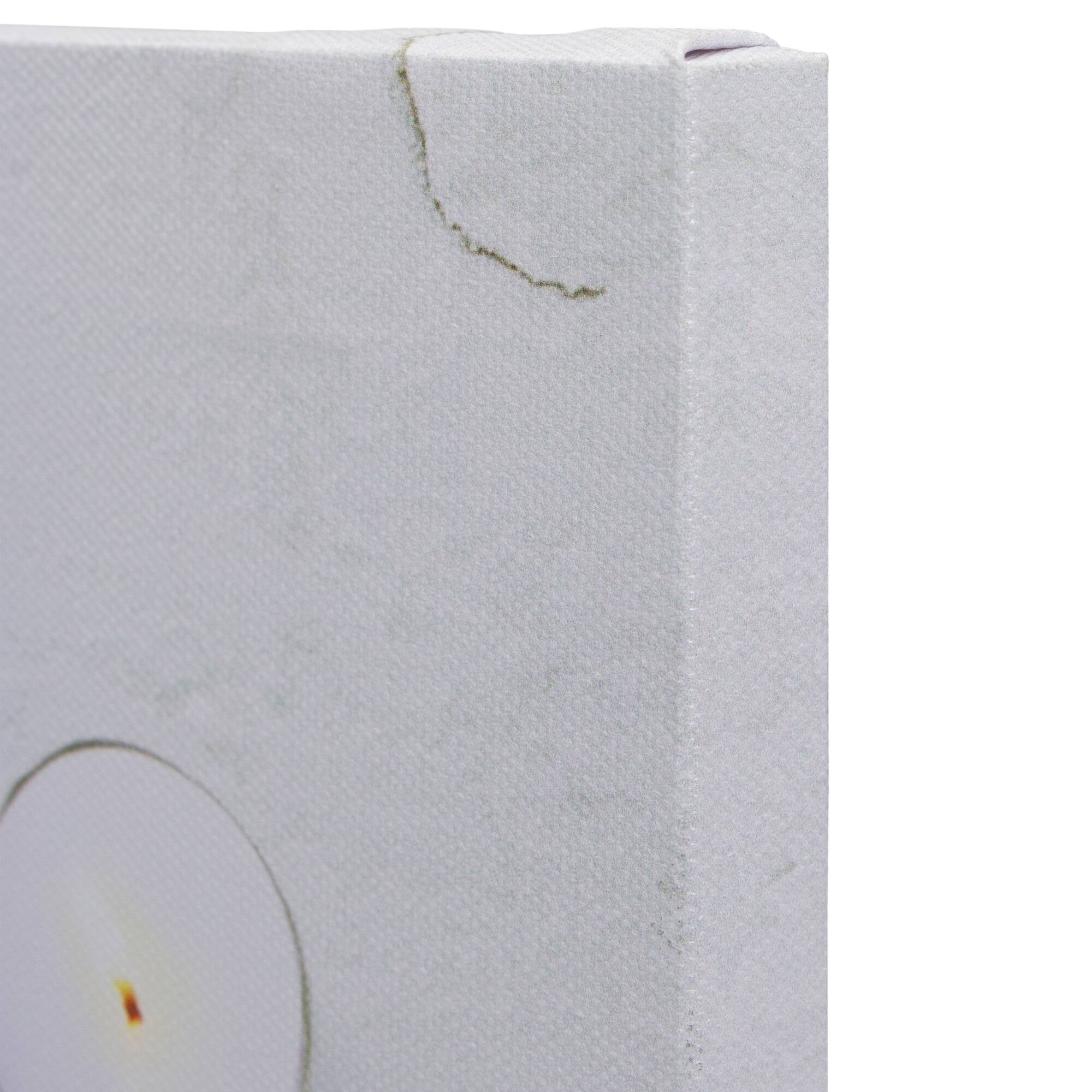 Northlight LED Lighted Starfish, Seashell and Tea Light Candles Canvas ...